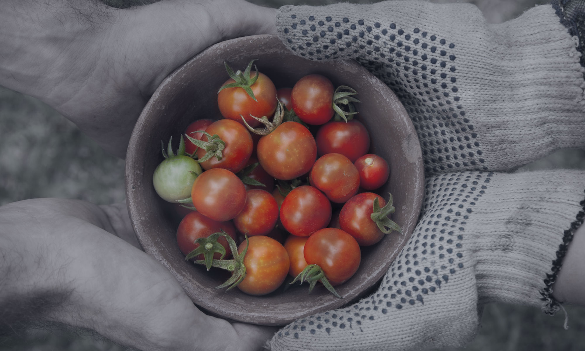 Community Angel Resource Exchange